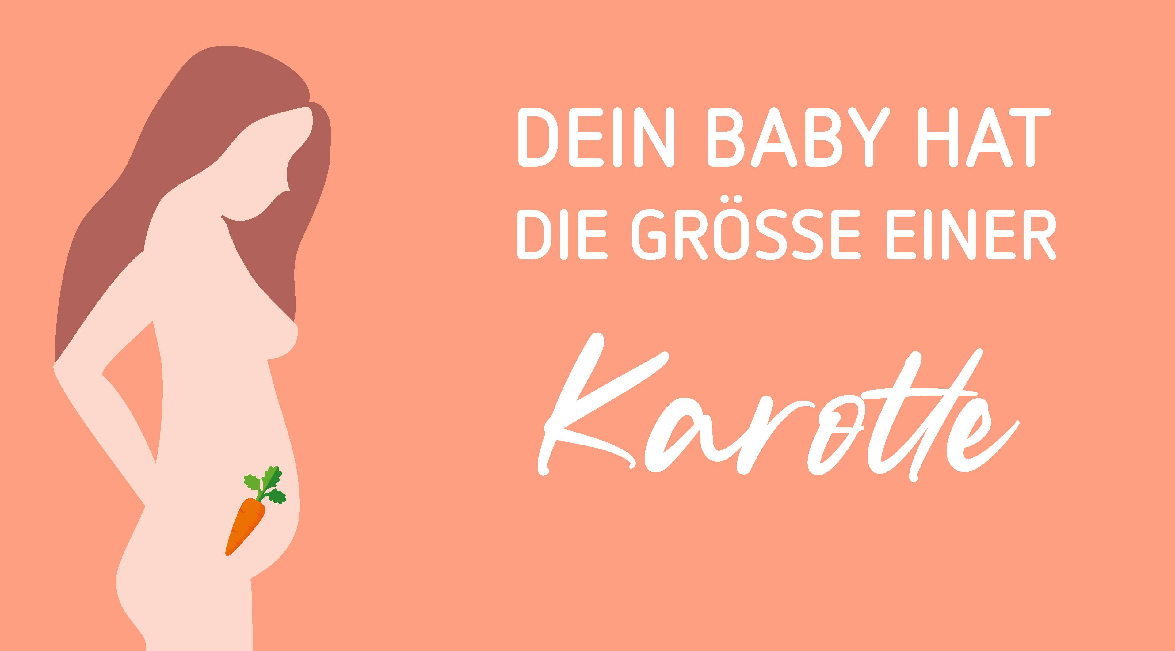 24. SSW - Wichtiges für die 24. Schwangerschaftswoche ...