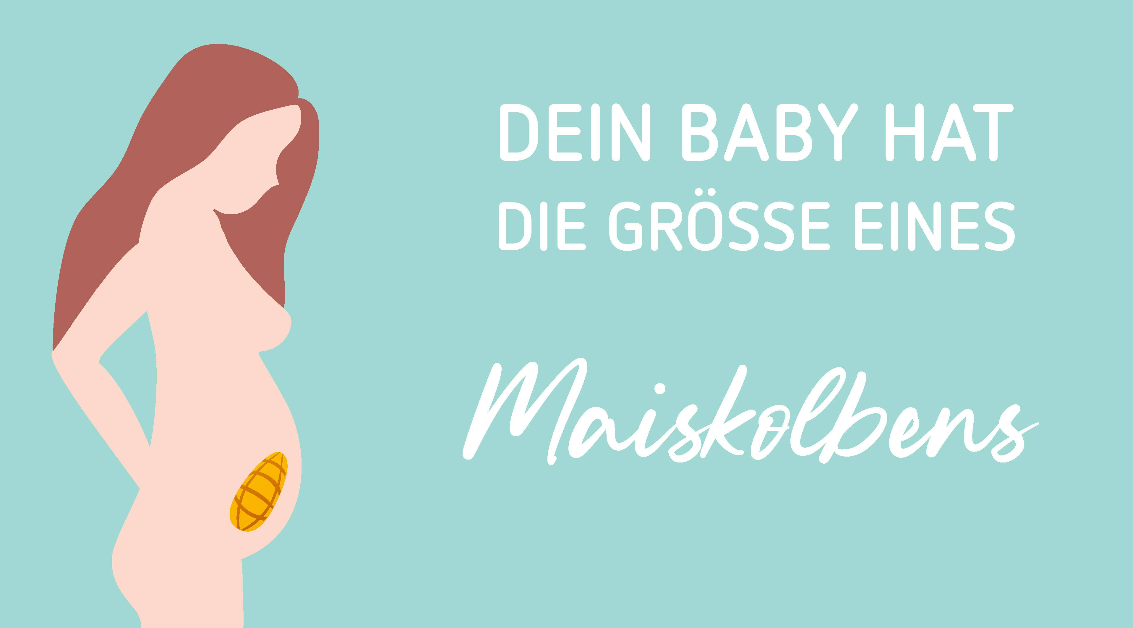 25. SSW - Wichtiges für die 25. Schwangerschaftswoche ...