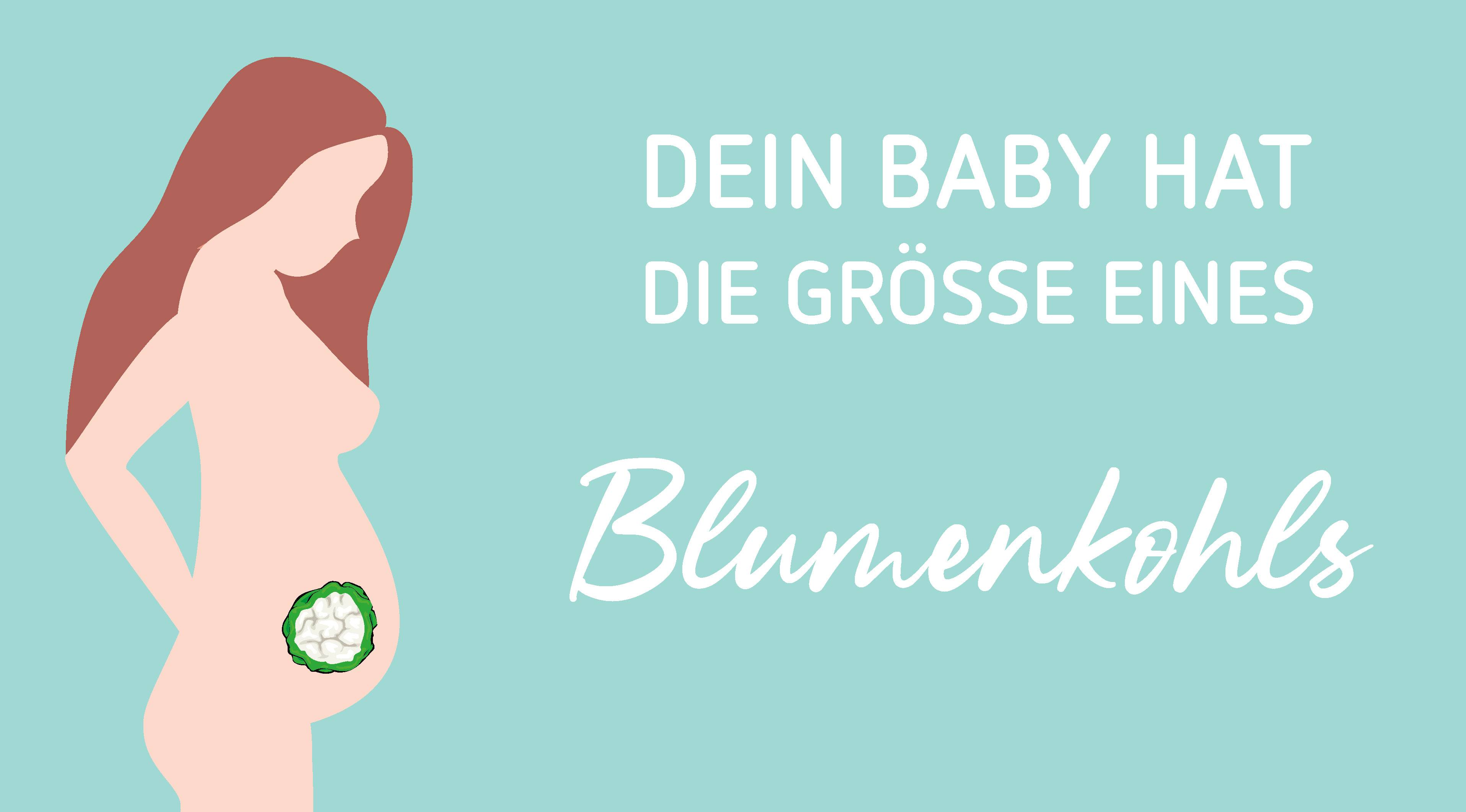 30. SSW - Wichtiges für die 30. Schwangerschaftswoche ...